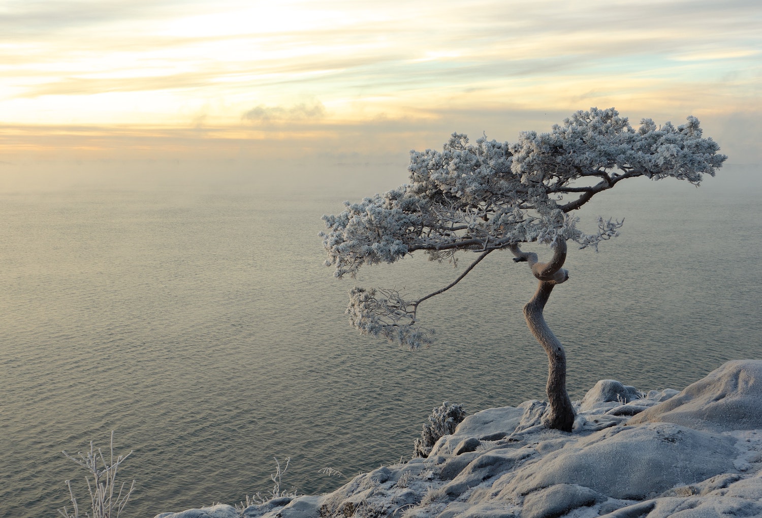 Resilienza: Come Superare le Difficoltà e Crescere